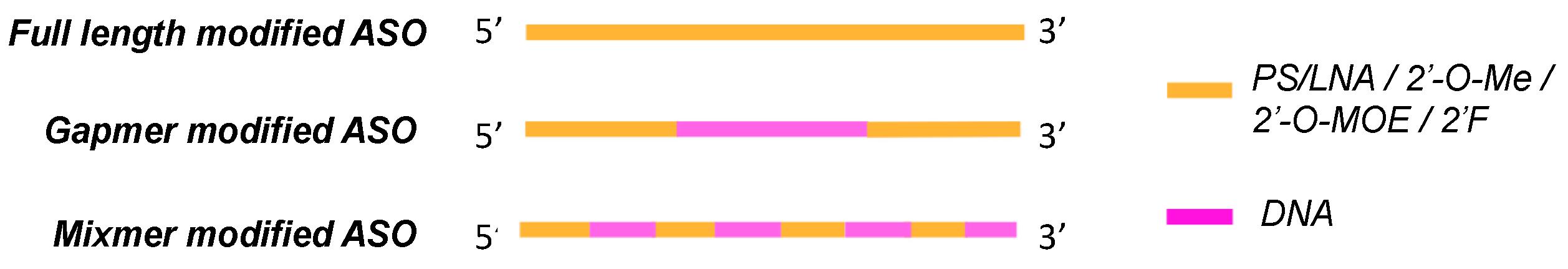 2'-Fluoro Nucleotides for Enhanced RNA Stability - RNA / BOC Sciences