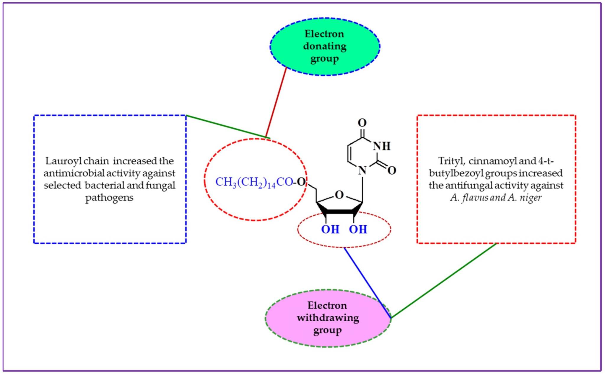 Thymidine vs Uridine Derivatives for DNA & RNA Drugs - RNA / BOC Sciences